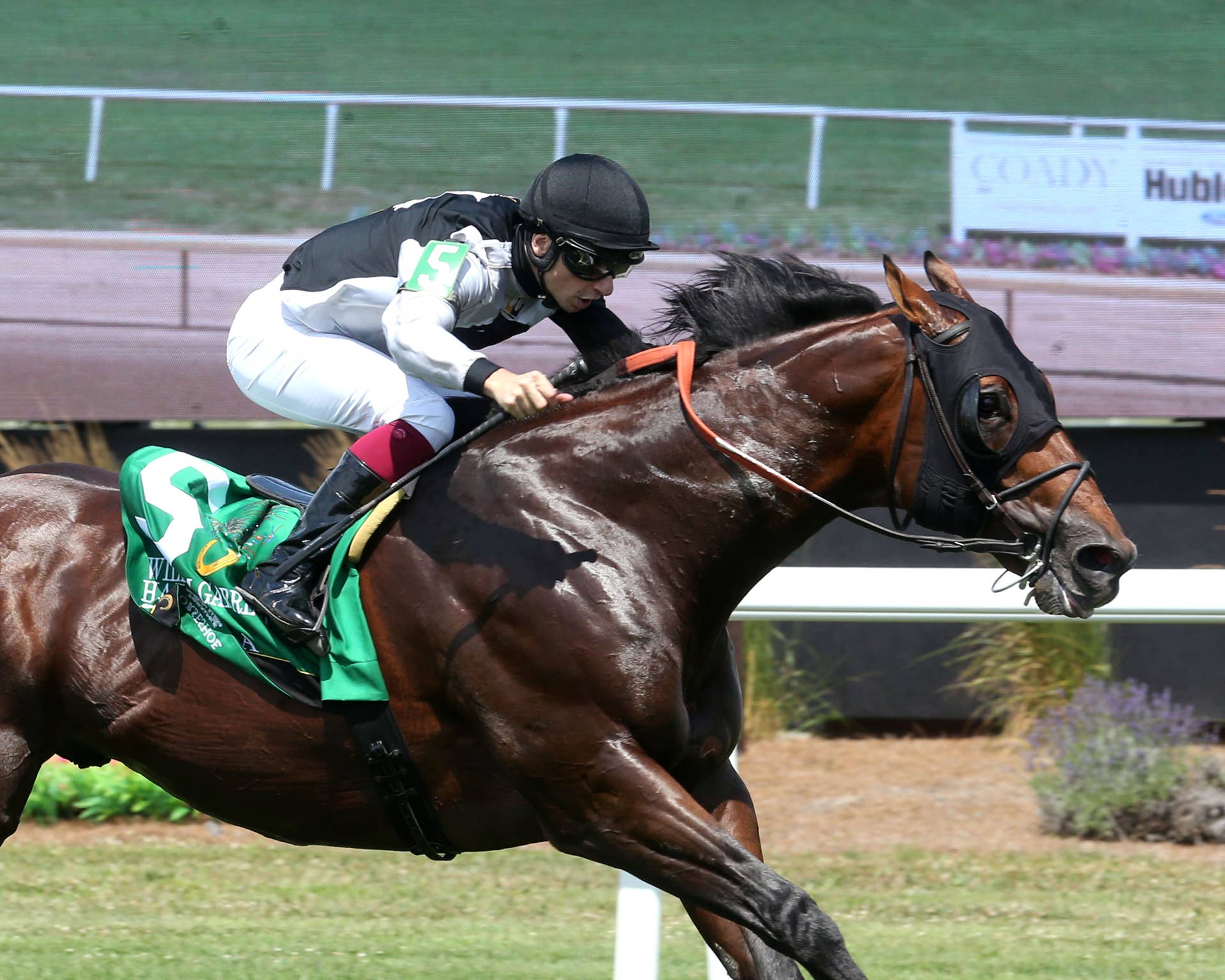 Coppola Sizzles To Turf Course Record At Horseshoe Indianapolis ...