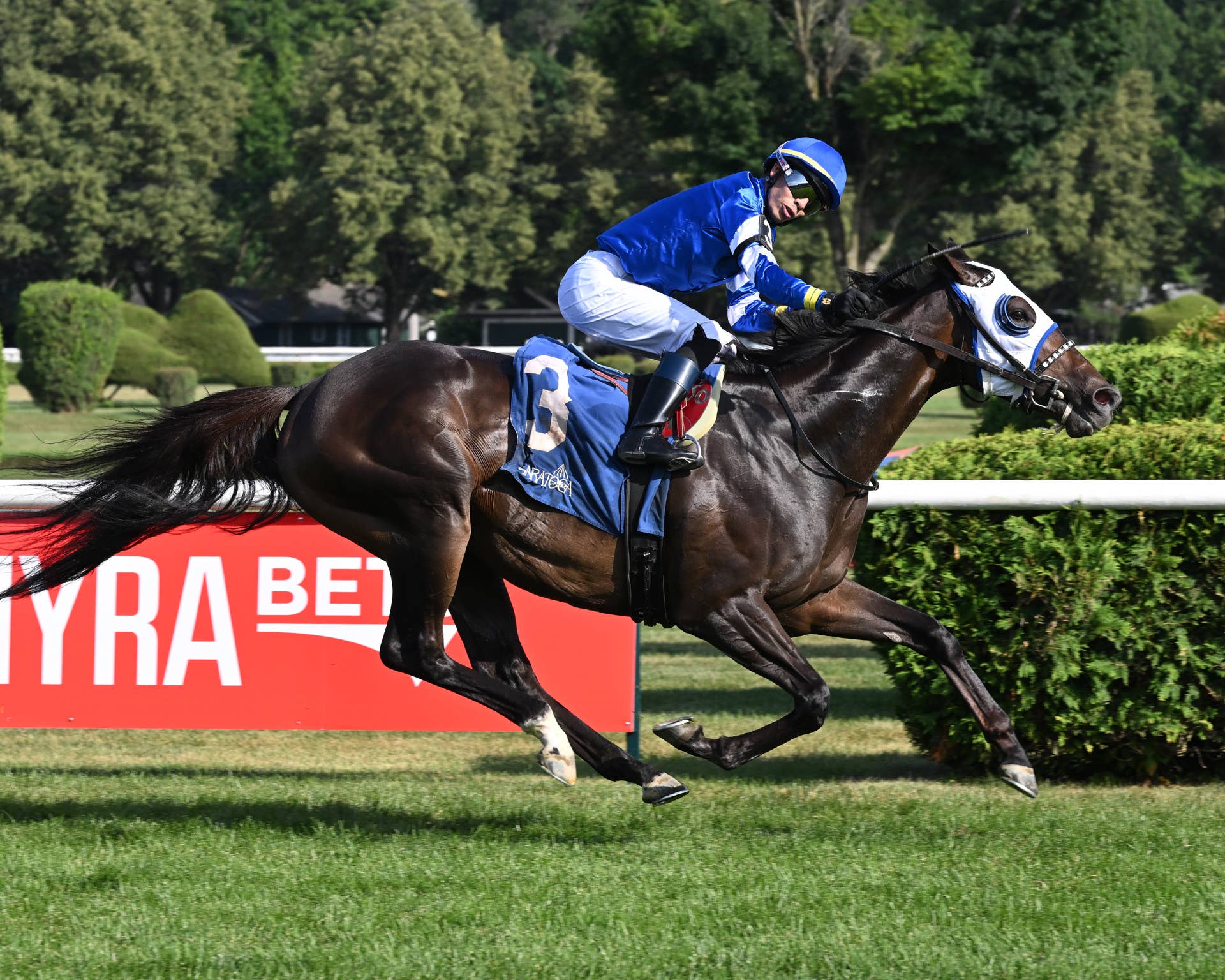 'Everything Is On The Table' For Kelso Winner Think Big - Paulick Report