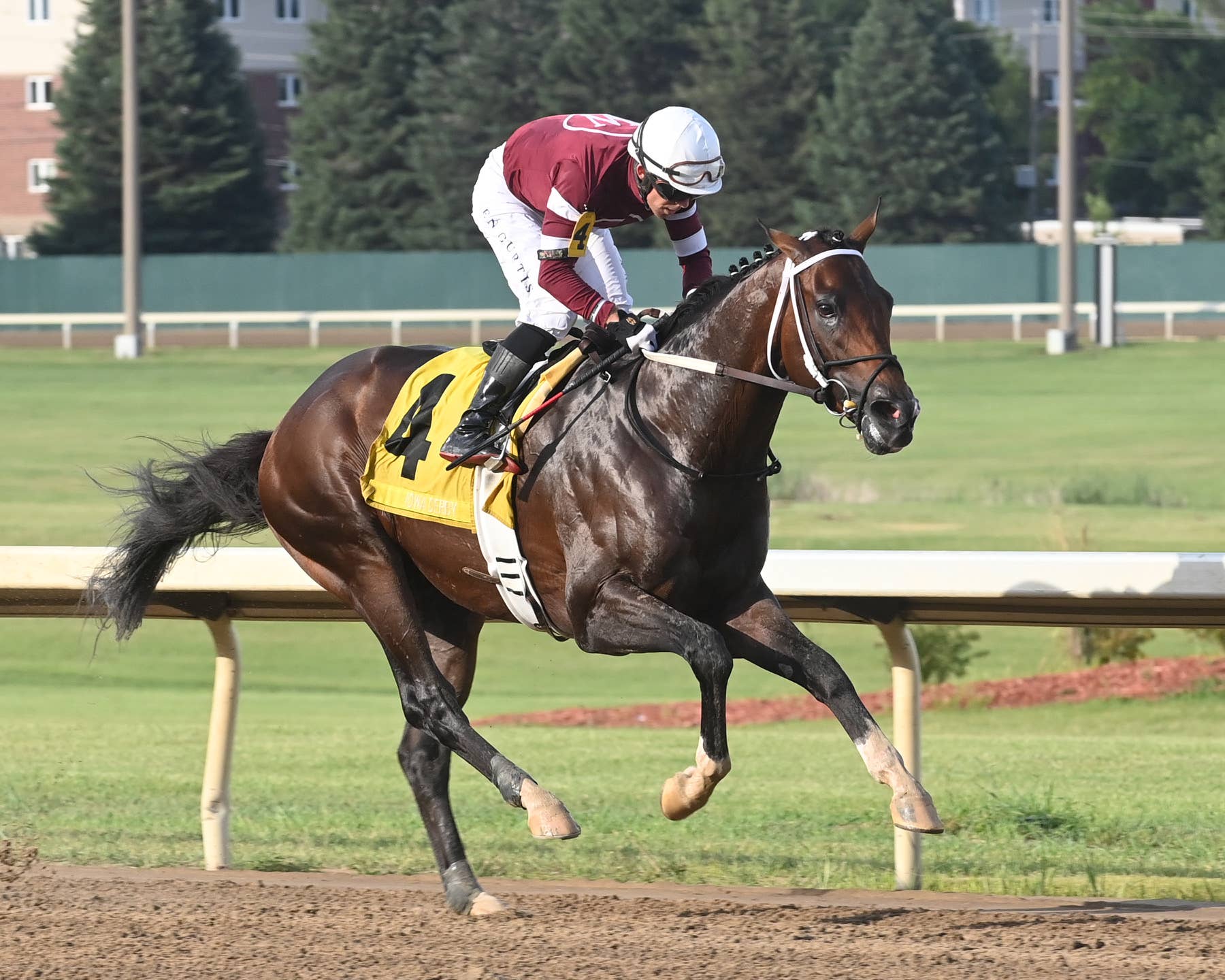 Magnitude Returns In Style With Big Iowa Derby Win; Quickick Up In Last ...