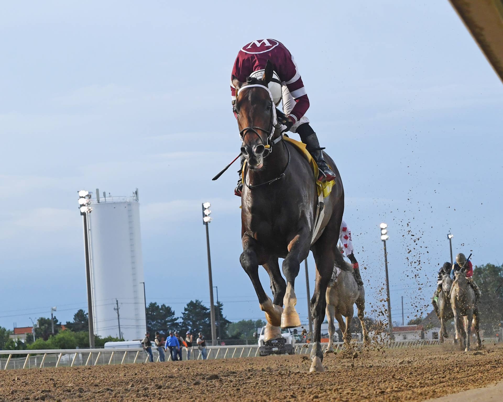 Bloodlines Presented By Walmac Farm: Delacroix, Magnitude Show ...