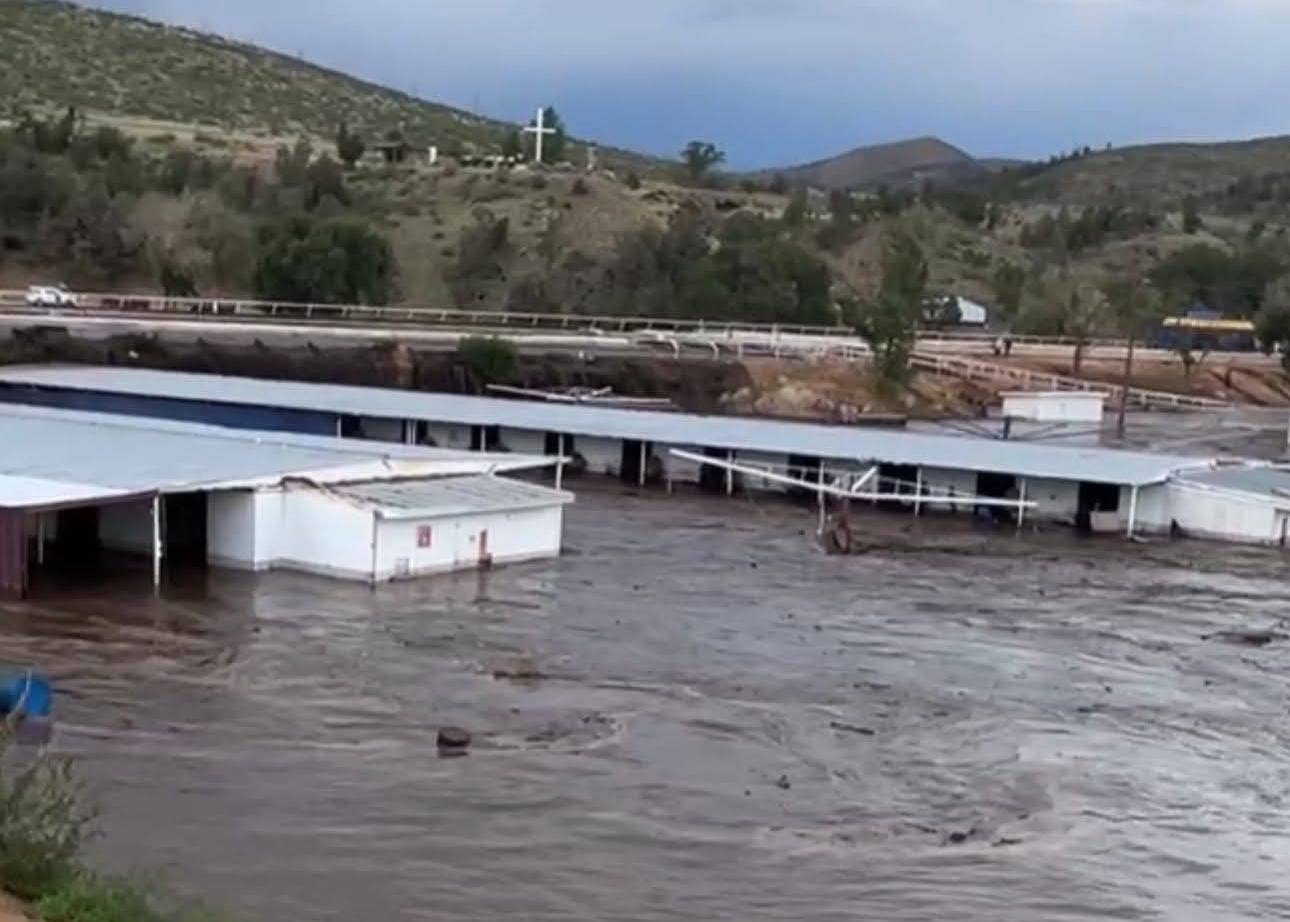 Update: Meet Cancelled, One Horse Confirmed Dead After Severe Flash ...