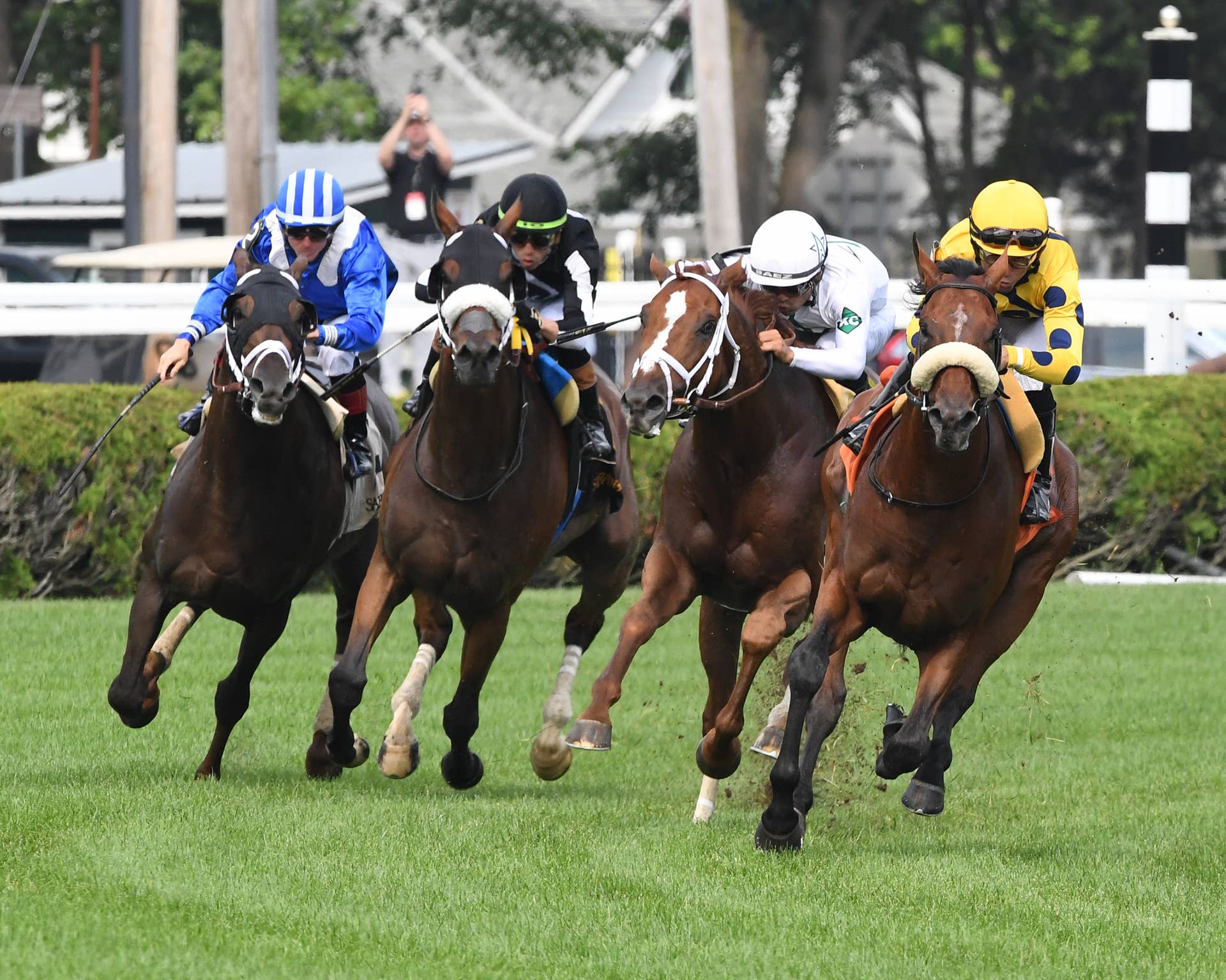 Bloodlines Presented By Walmac Farm: What Makes A Turf Horse? - Paulick ...