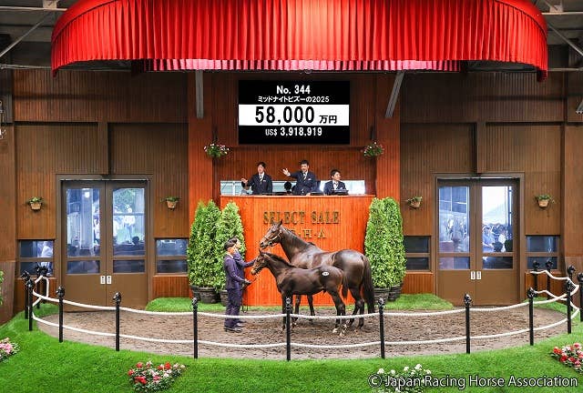 Colt Out Of Midnight Bisou Sells For $3.9 Million To Top Japan Select ...