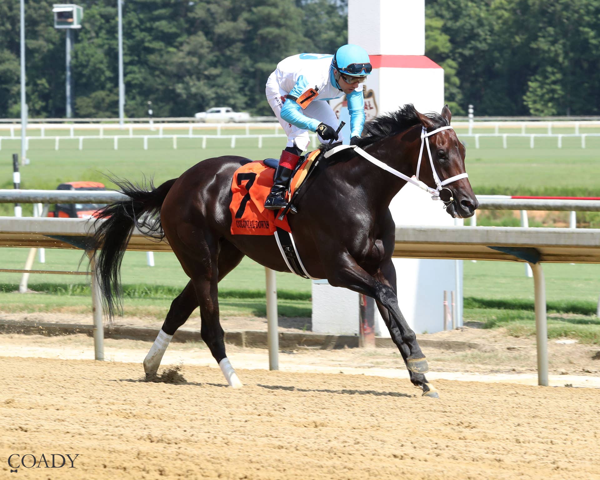 Colonial Downs: Patriot Spirit Dominates Reigh Count, Alani Wires Love ...