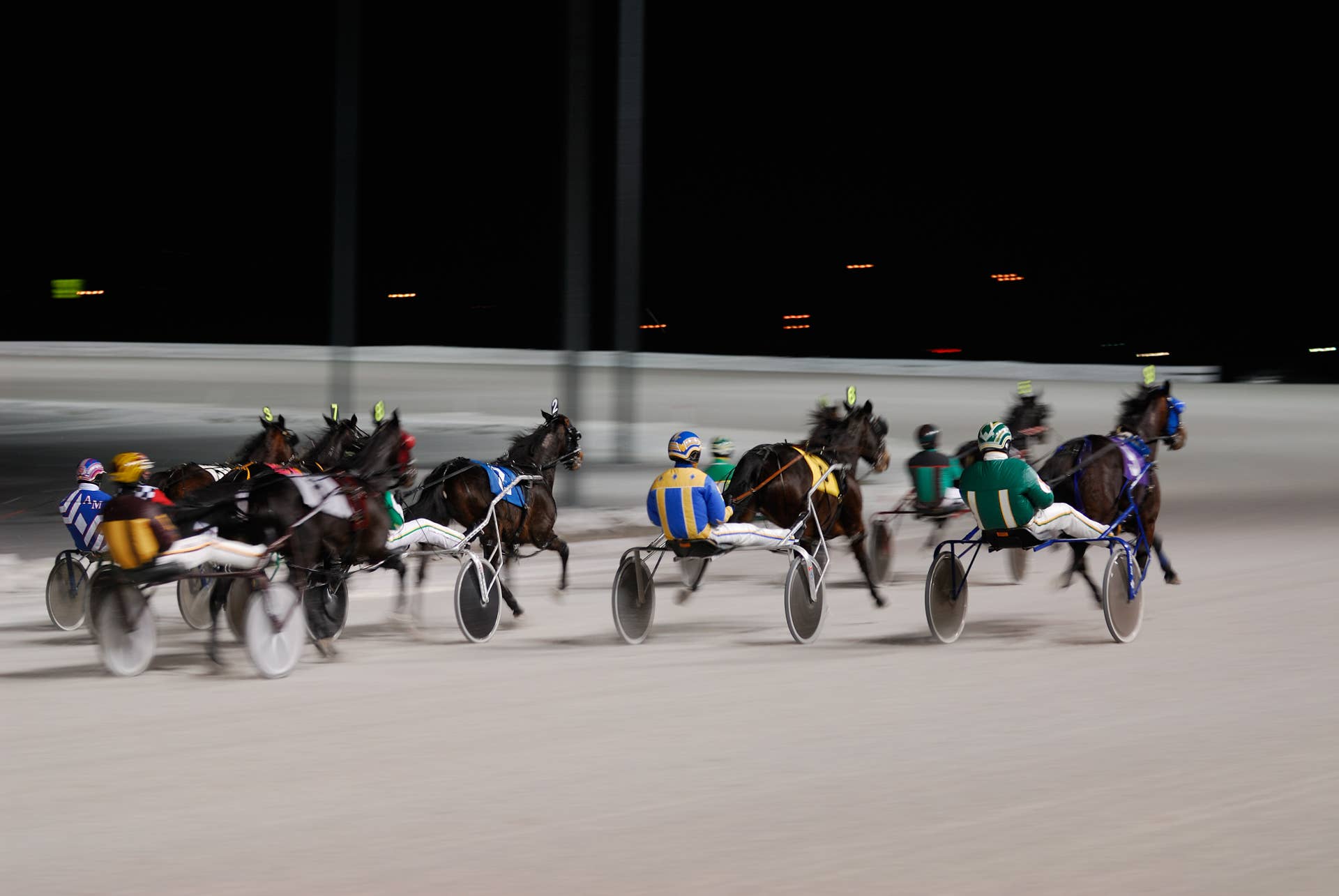 ‘Bloody Tough Times’: Harness Trainer Back In Entry Box After Life ...