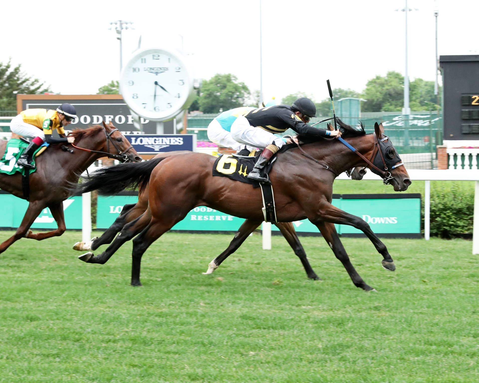 Native Runner To Vie For Breakthrough Stakes Win In Ky Downs Preview ...