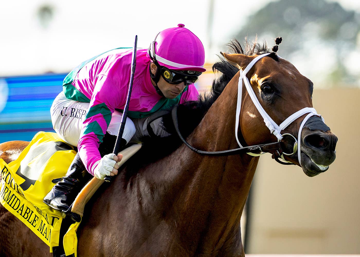 Memorial Weekend Lineup: Fair Hill Turf Showcase Presented By Brown ...