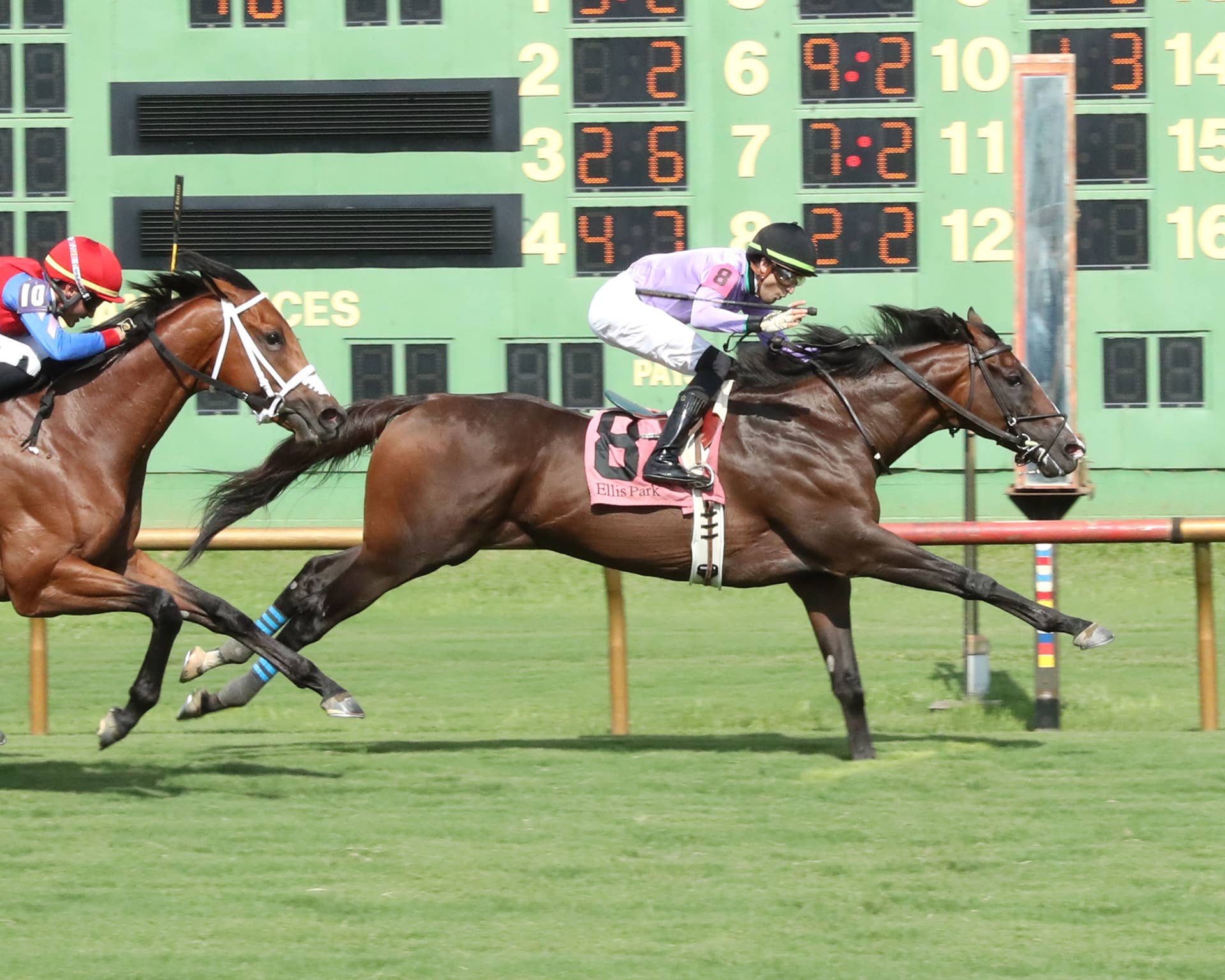 Beach Gold Pulls 22-1 Surprise In Ky Downs Preview Mint Millions Turf ...