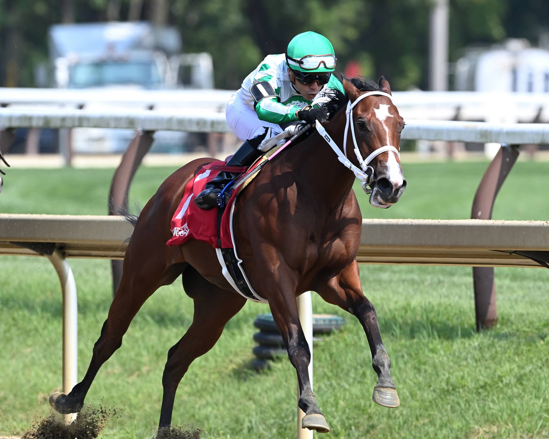 Bloodlines Presented By Walmac Farm: Mythical And Her Traveling Sire ...