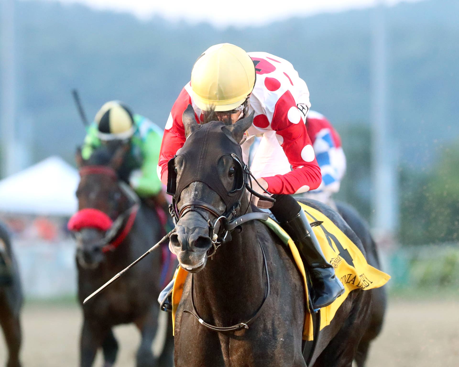 Chunk Of Gold Sparkles In Gate-To-Wire West Virginia Derby Romp ...