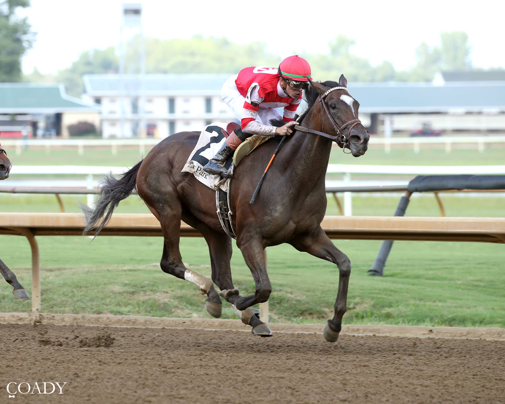 'I Love Kentucky Racing': Sturgeon Moon Caps Tyler Gaffalione's Six-Win ...