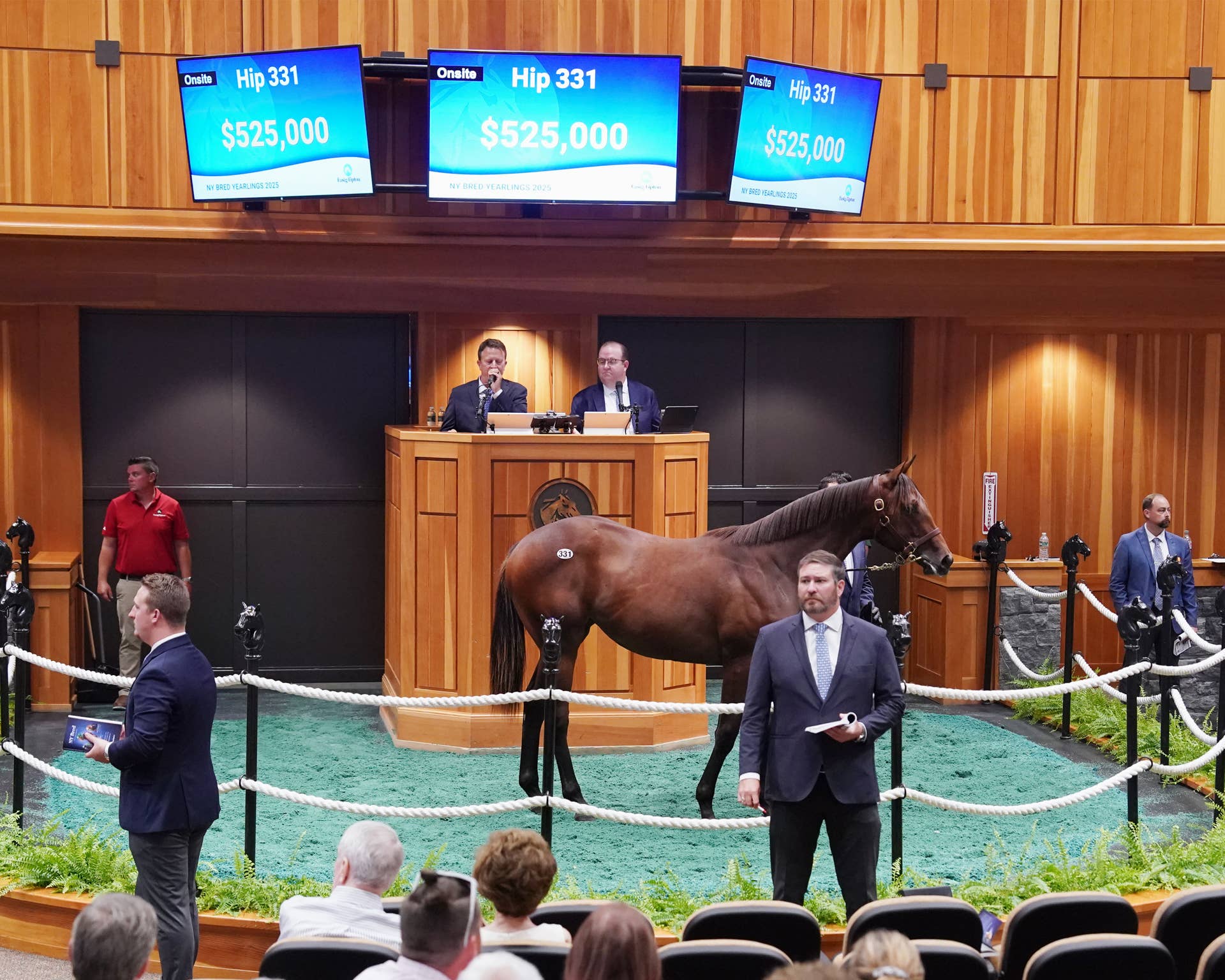 $525,000 Early Voting Filly Top Price During Opening Session Of New ...
