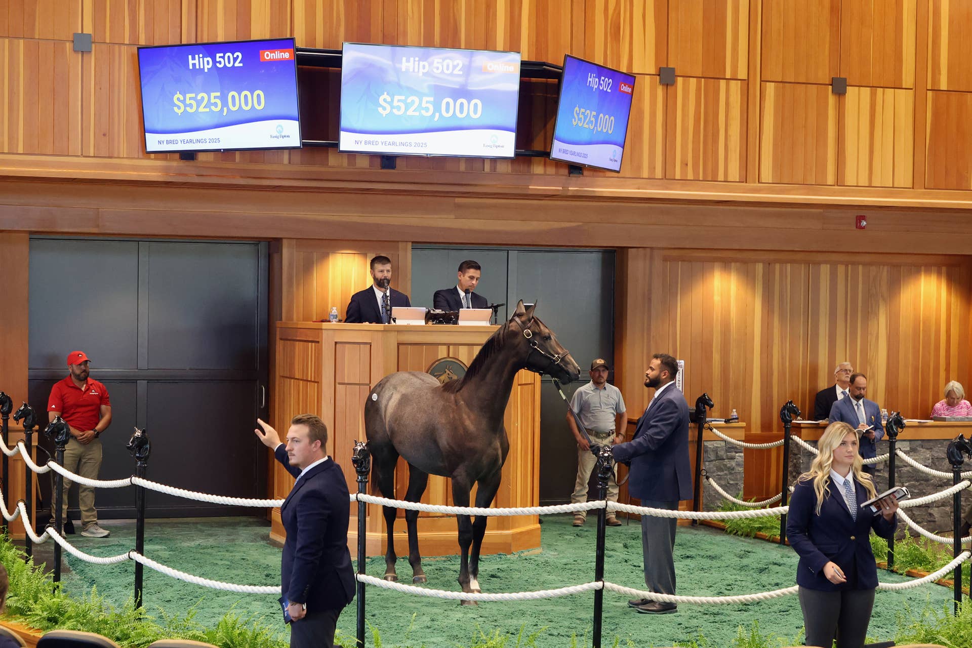 Practical Joke Colt, Early Voting Filly Top Record-Breaking Fasig ...