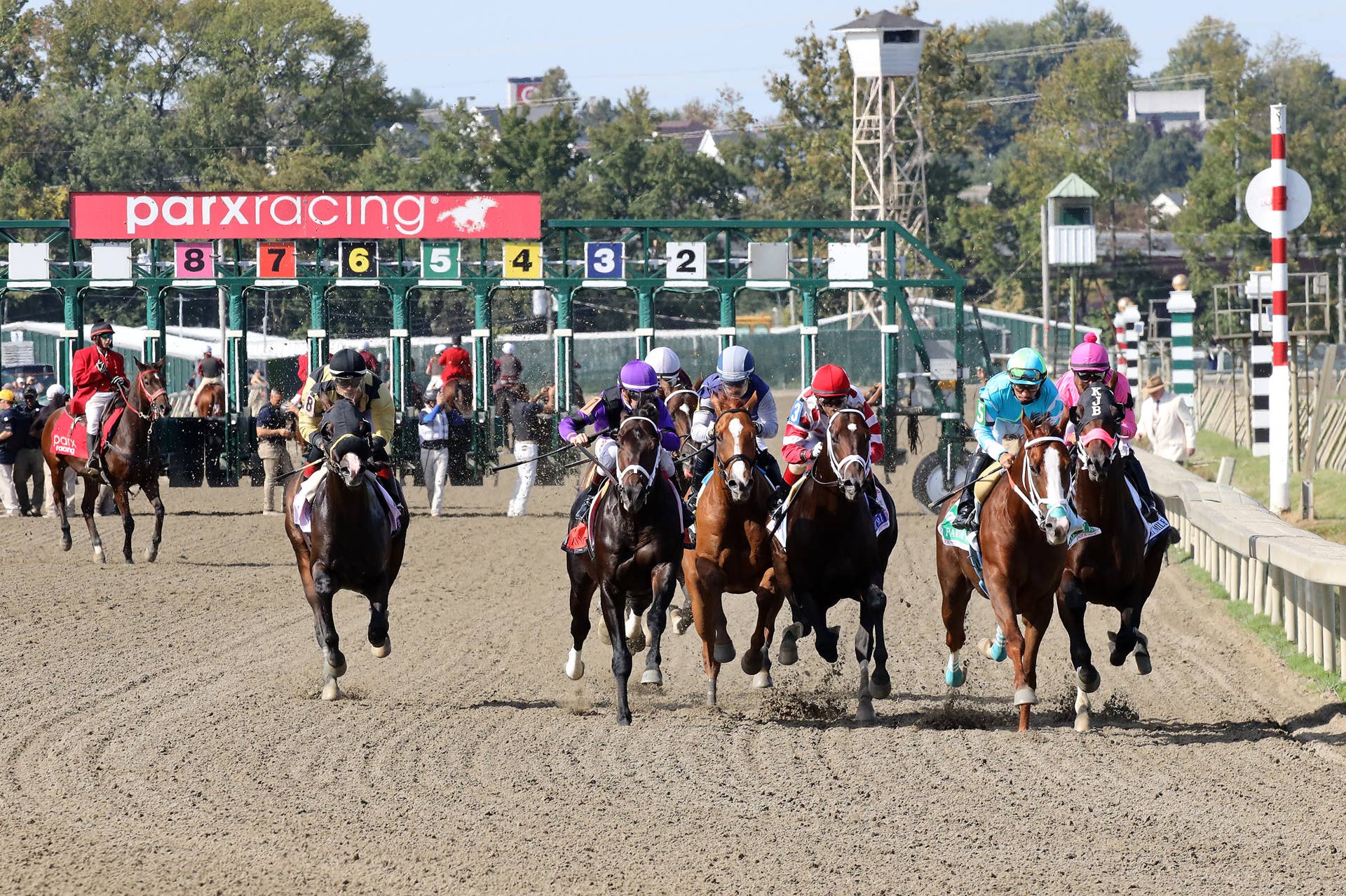 Parx Racing - Paulick Report