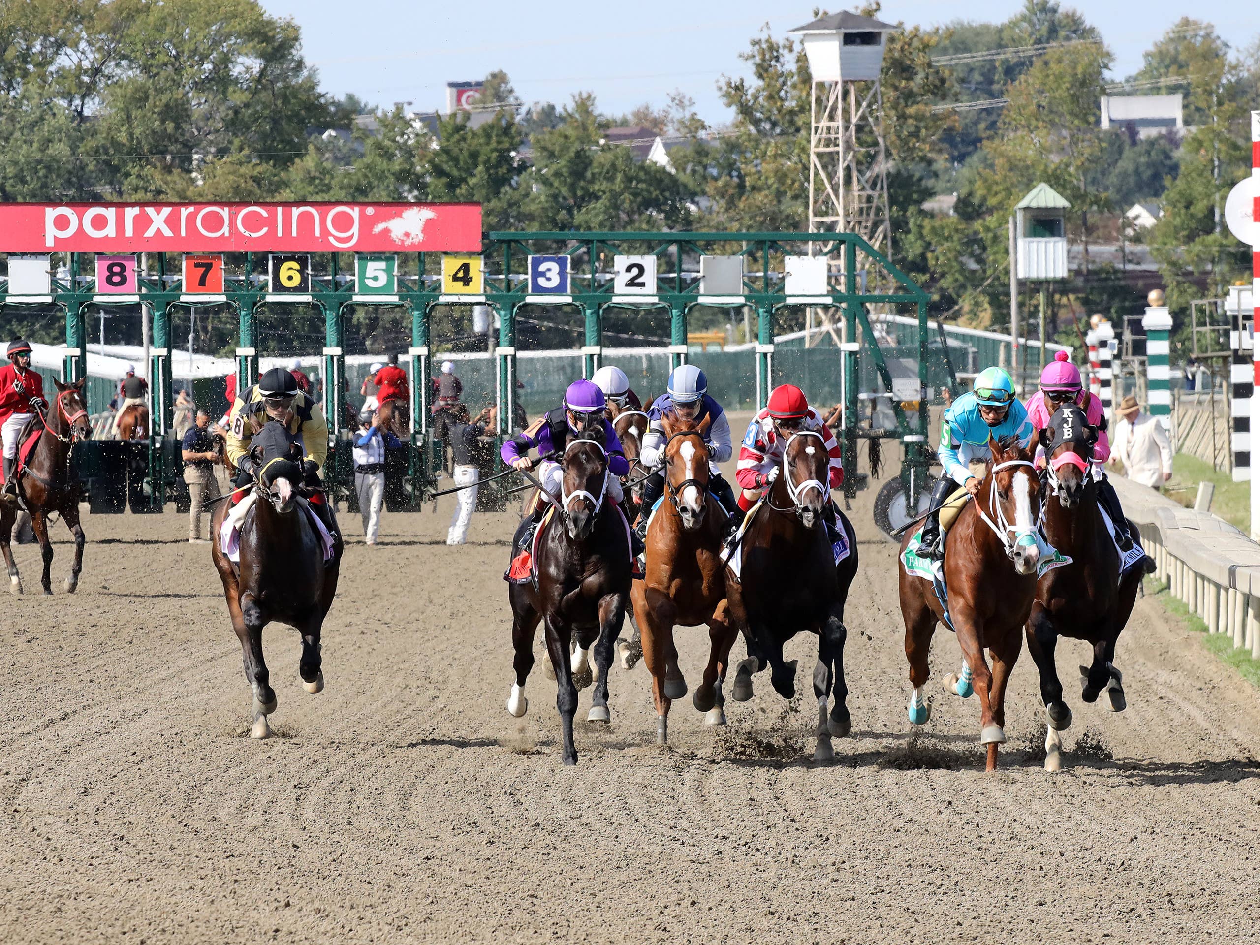Riderless Horse Causes Scary Spill At Parx - Paulick Report