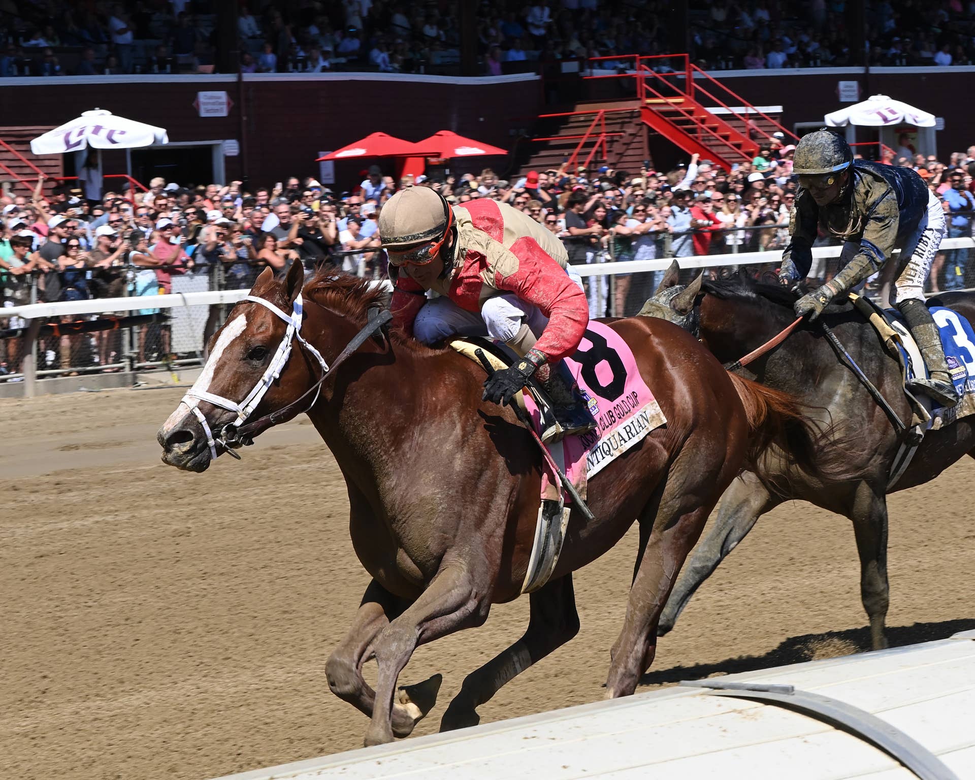 Bloodlines Presented By Walmac Farm: Antiquarian And Sire ...