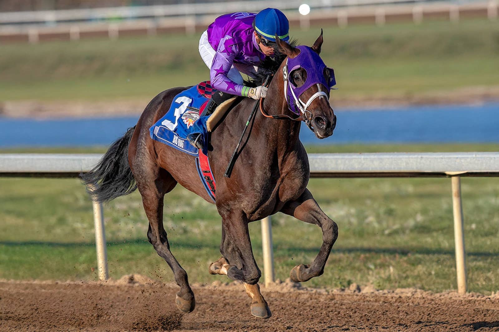 Over $720,000 Distributed To Breeders Through Horse Racing Alberta ...