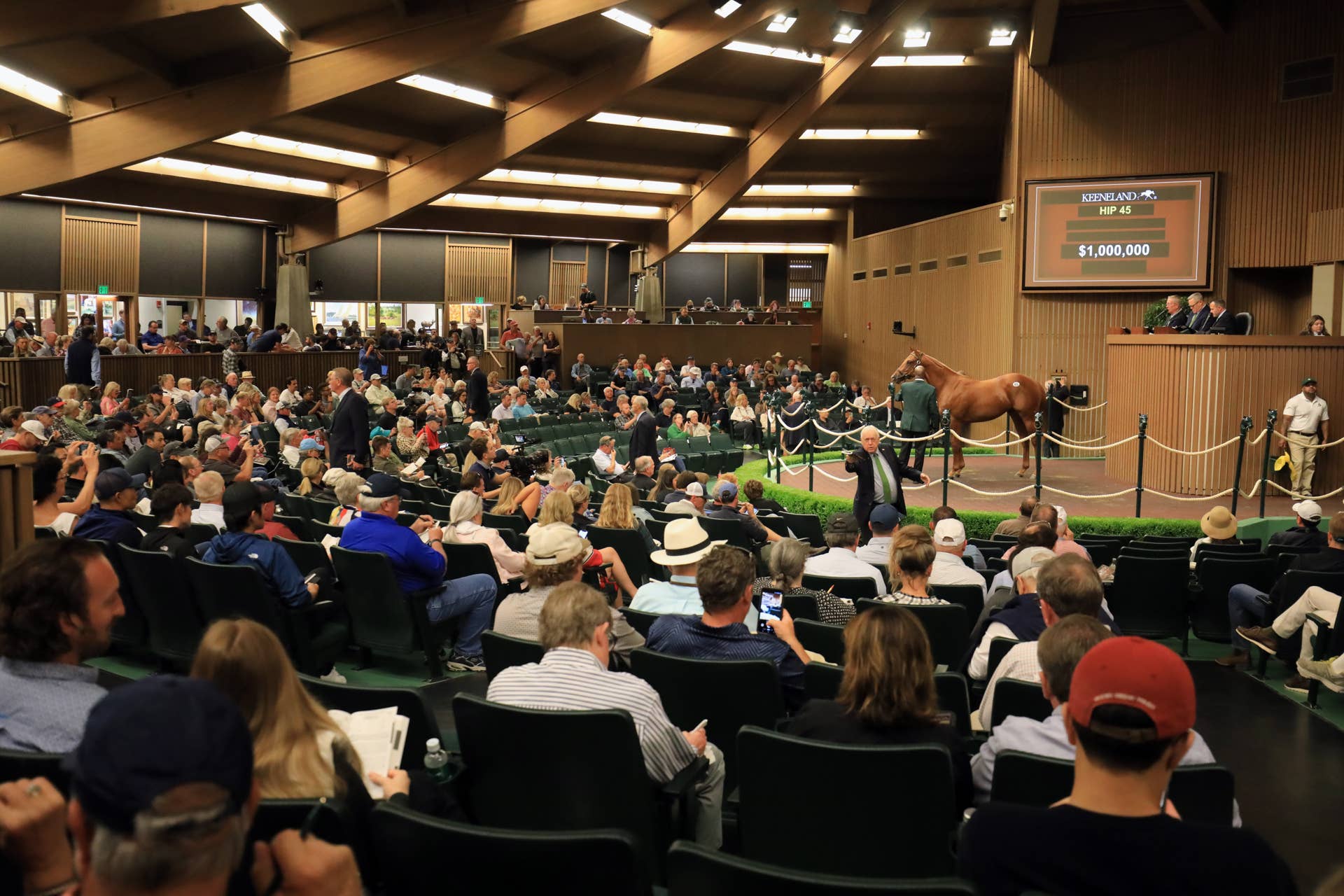 Airdrie Stud - Paulick Report