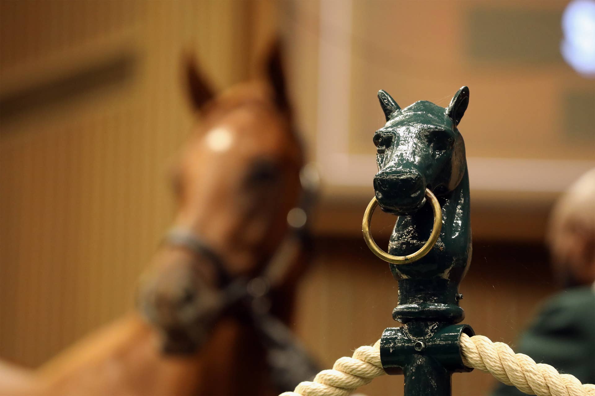 Undefeated General Graham Tops Keeneland April Sale At $375,000 ...