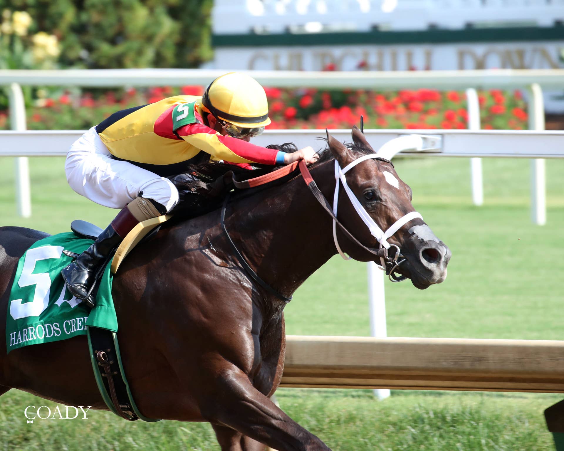 'Showed His Class Today': Louisiana-Bred Smoken Wicked Prevails In ...