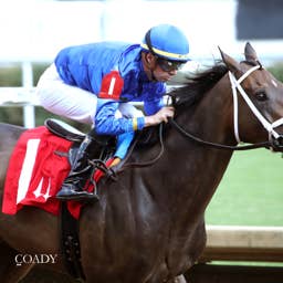 Churchill To Introduce Jackpot 8, Odd Vs. Even, And Head-To-Head Wagers ...