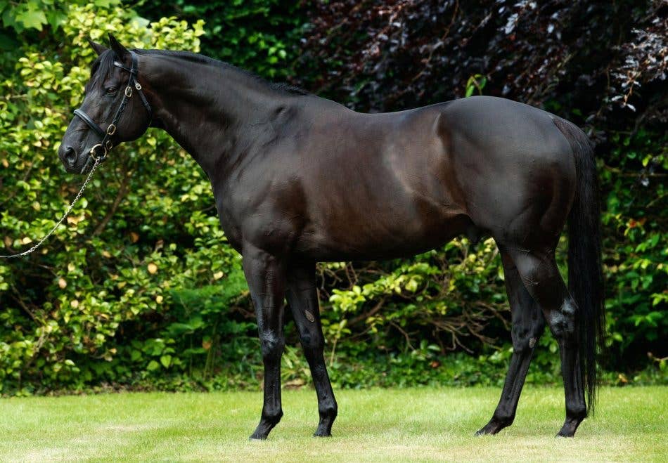 Bloodlines Presented By Walmac Farm: Wootton Bassett And A Modest ...