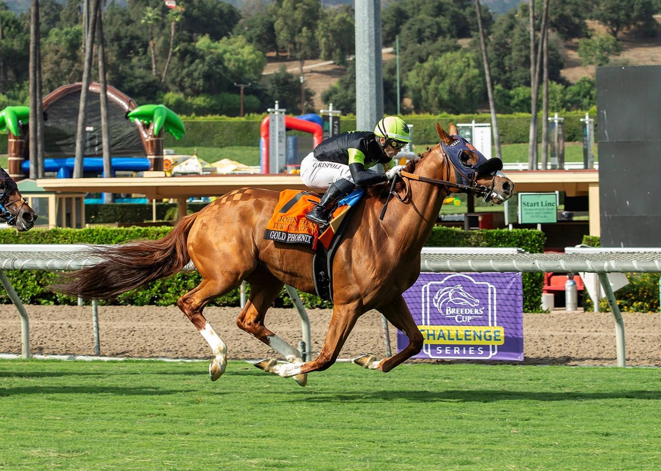 Gold Phoenix Wins John Henry Turf Championship In Fourth Attempt ...