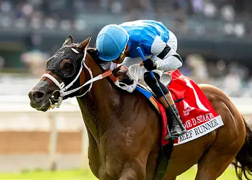 Reef Runner - Paulick Report