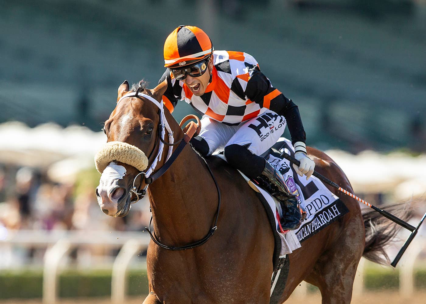 Intrepido, Robusta Tune Up For Santa Anita Derby - Paulick Report