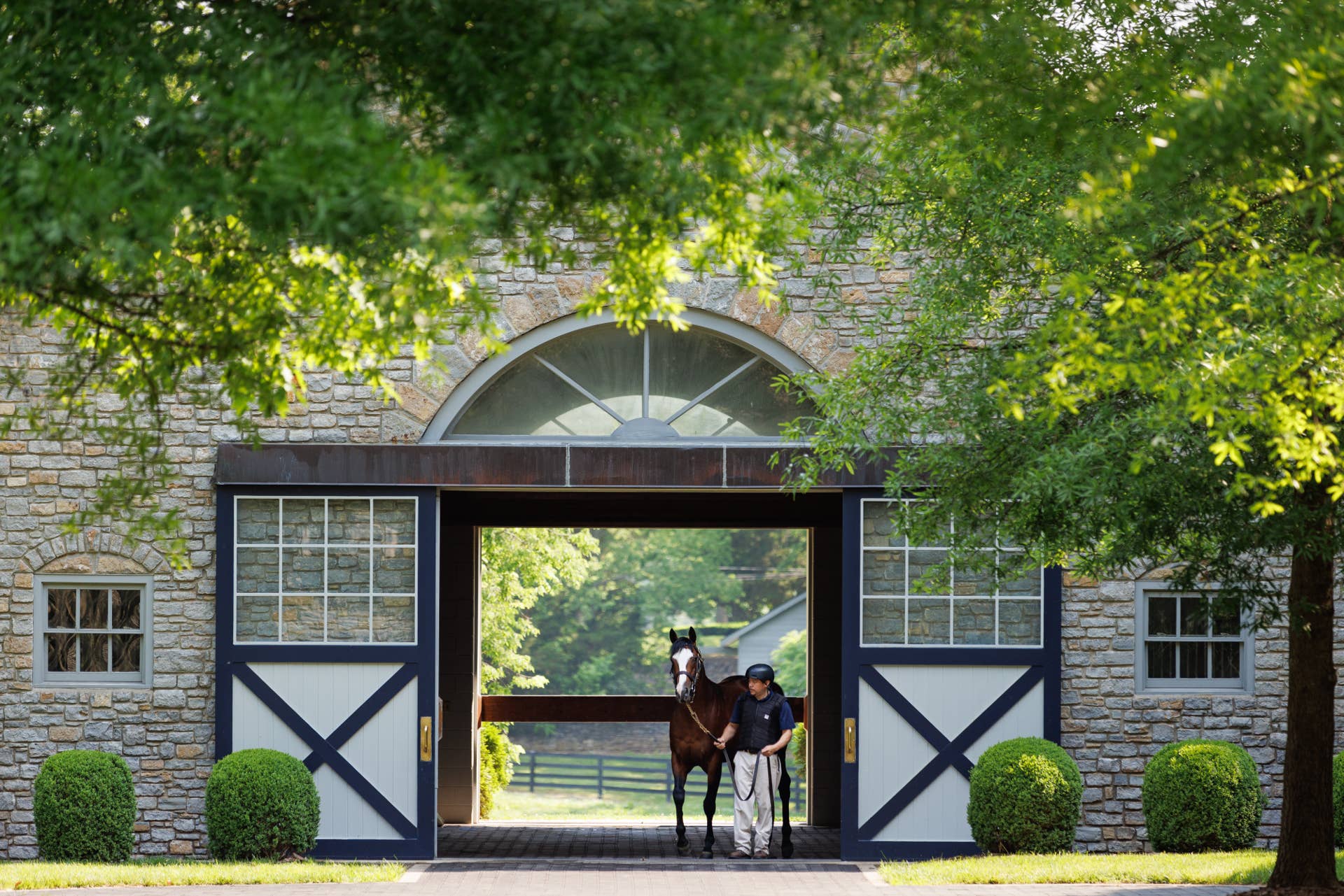 The 2025-26 All-Value Sire Team: Bloodstock Experts Zach Madden And ...