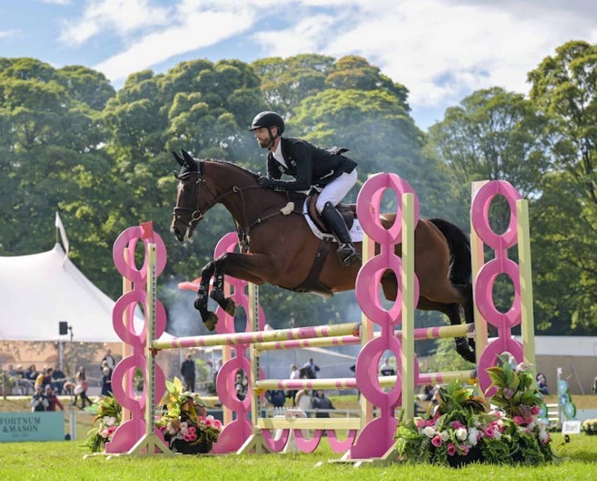 Racehorse To Eventer Challenge: OTTB Sparky Lad Earns Over $60,000 In ...