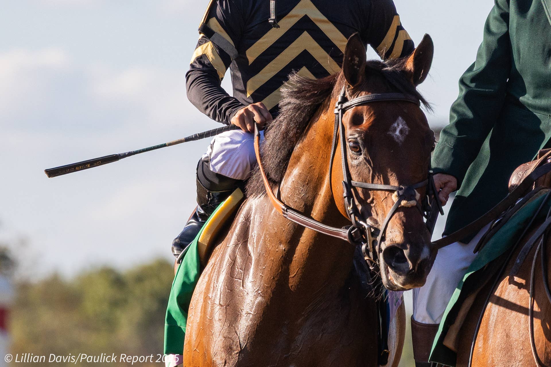 Gin Gin Looks To Keep Perfect Keeneland Record Intact In Doubledogdare ...