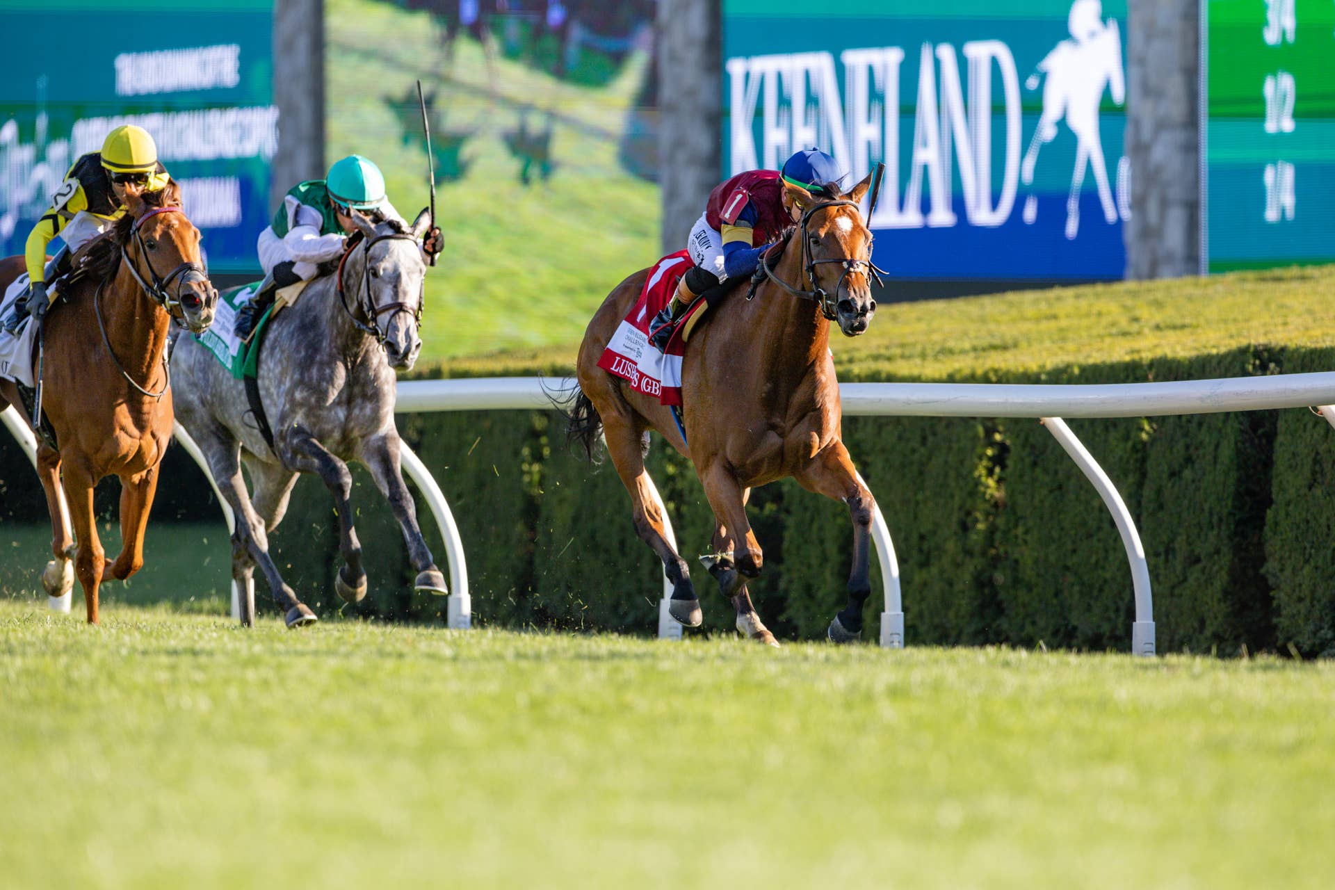 Lush Lips Outkicks Laurelin In Keeneland's Queen Elizabeth II Challenge ...