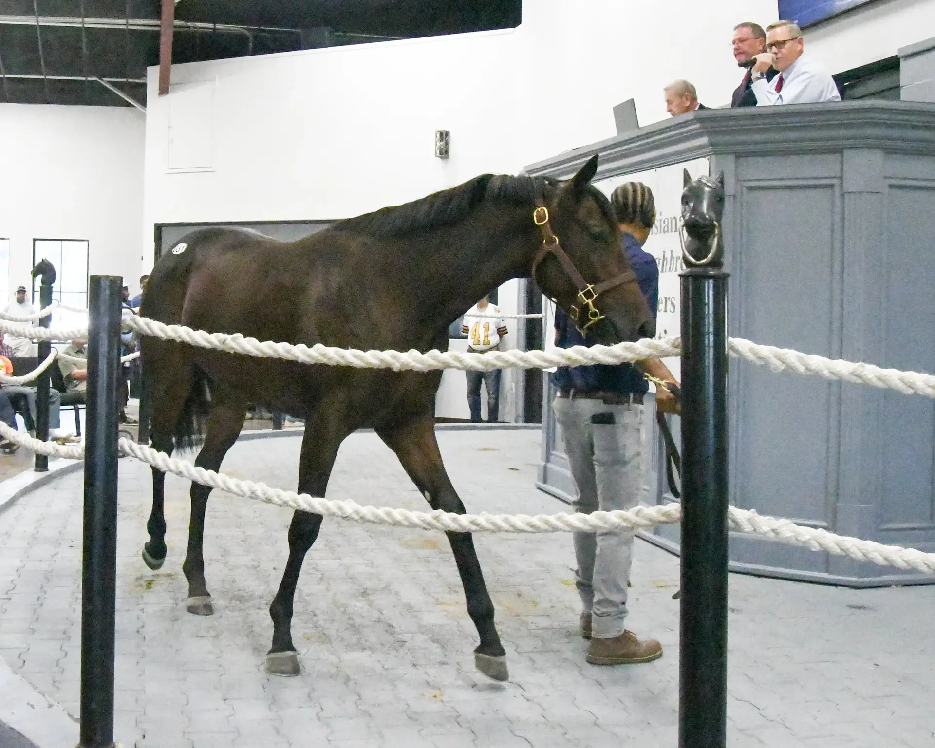 Bobby's Wicked One Filly Tops Breeders Sales of Louisiana Yearling ...