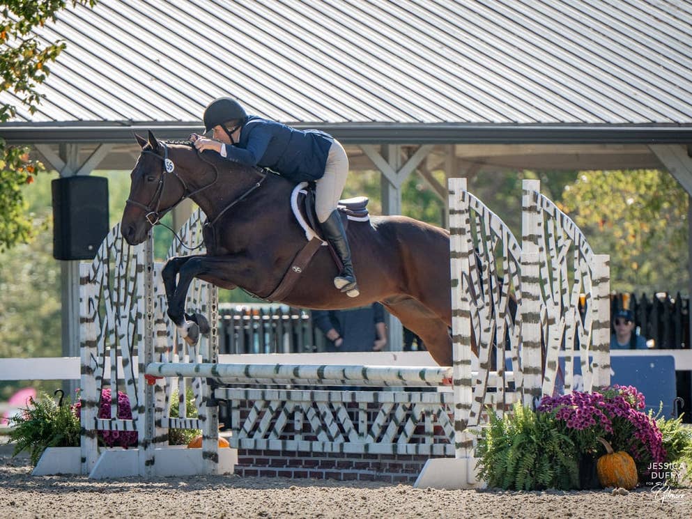 Retired Racehorse Project Adds Graduate Classes To 2026 Thoroughbred ...