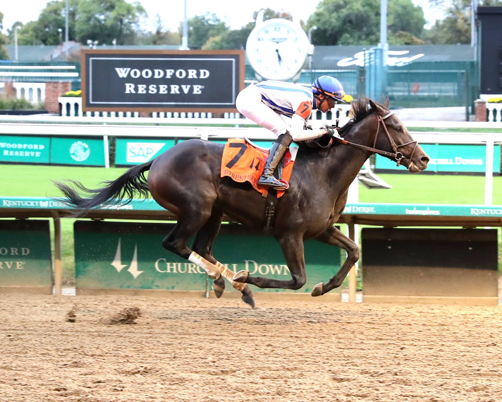 Street Sense Winner Incredibolt Begins 3-Year-Old Campaign In Holy Bull ...