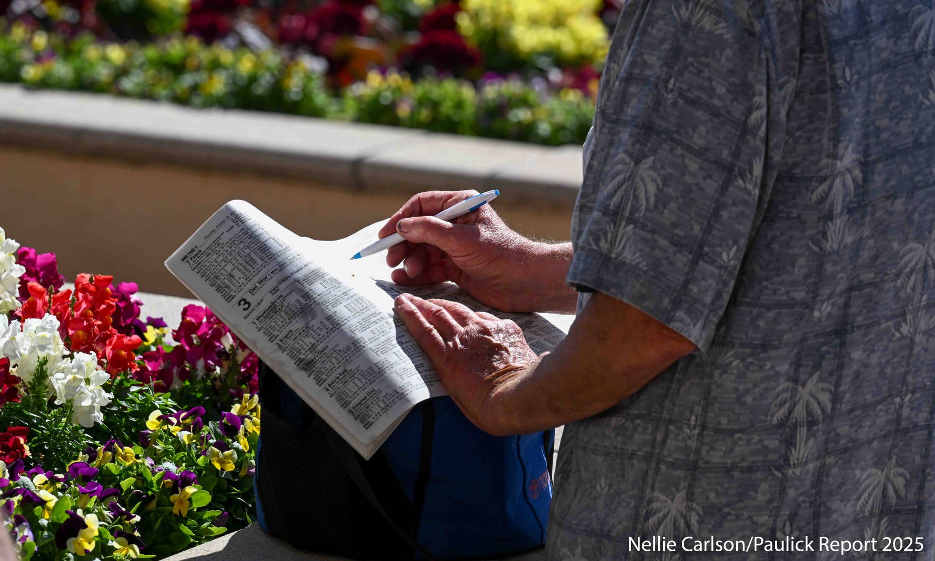 Breeders' Cup: Friday Handle Above $60 Million For Fifth Straight Year ...