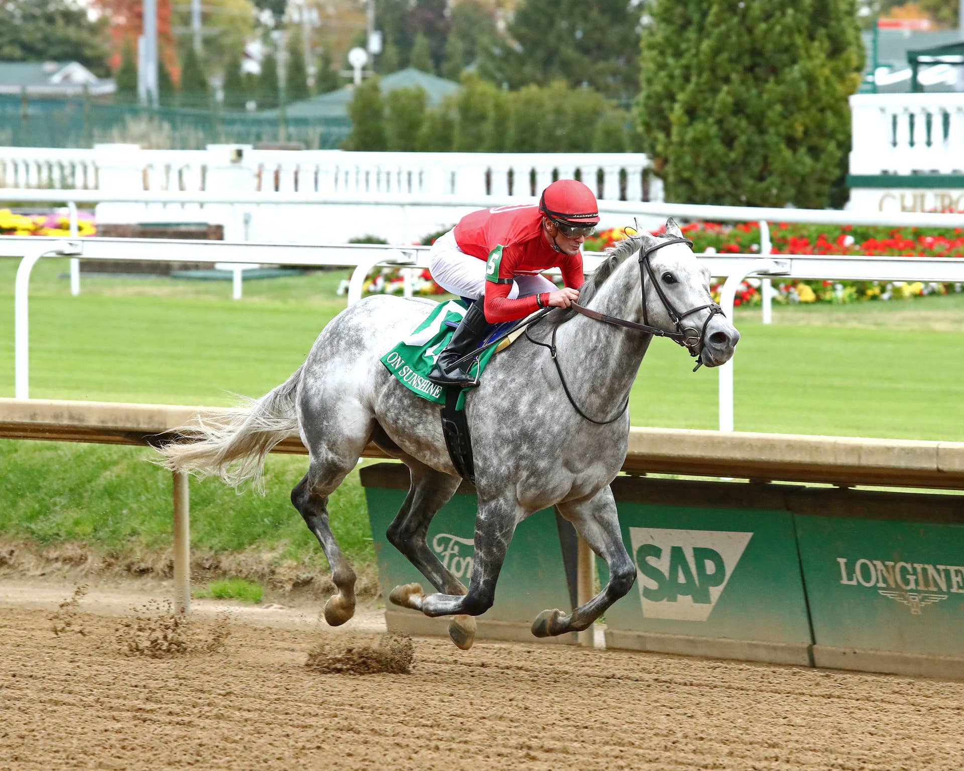 Roll On Big Joe Draws Off For Bet On Sunshine Triumph - Paulick Report