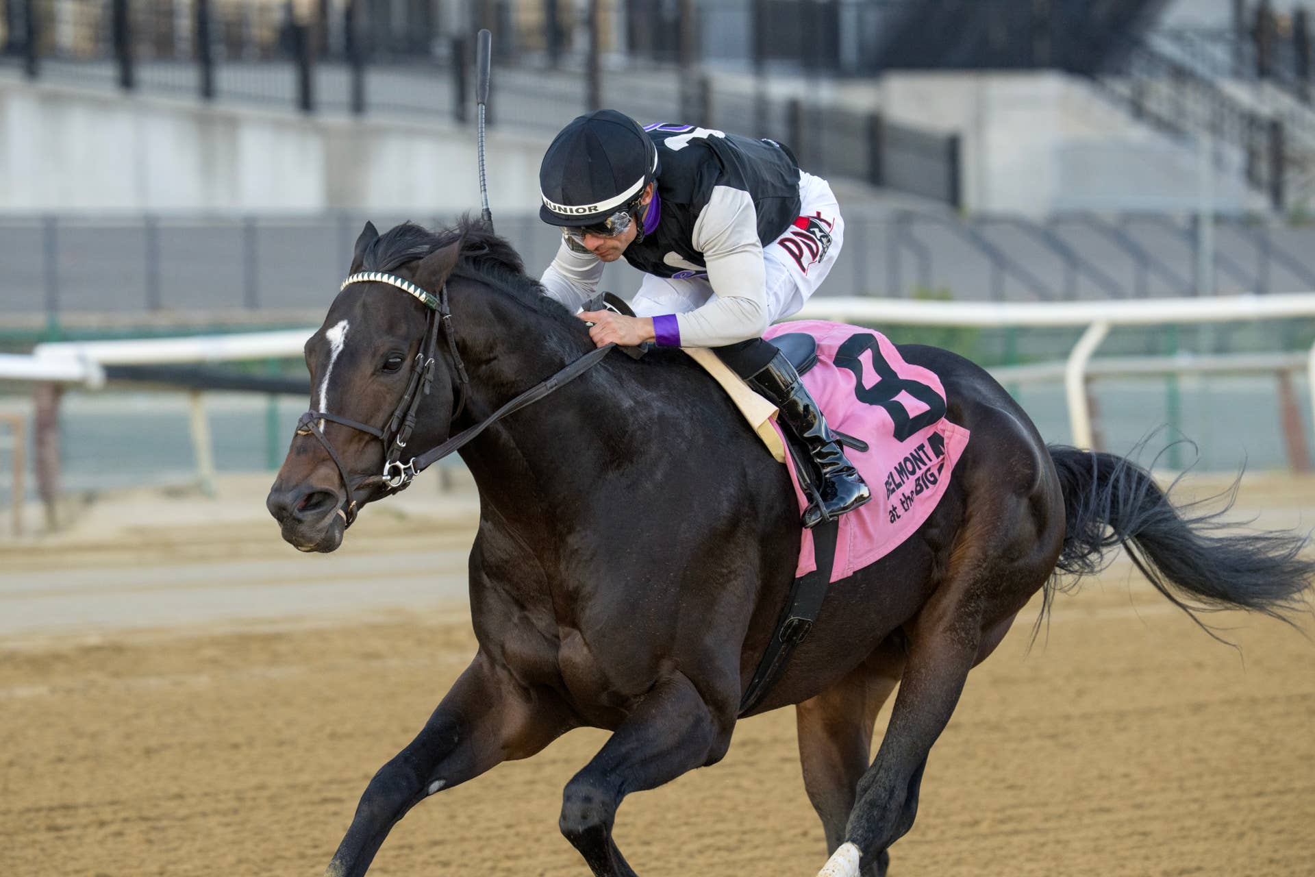 Damon’s Mound Denies Familiar Rivals In Bold Ruler - Paulick Report
