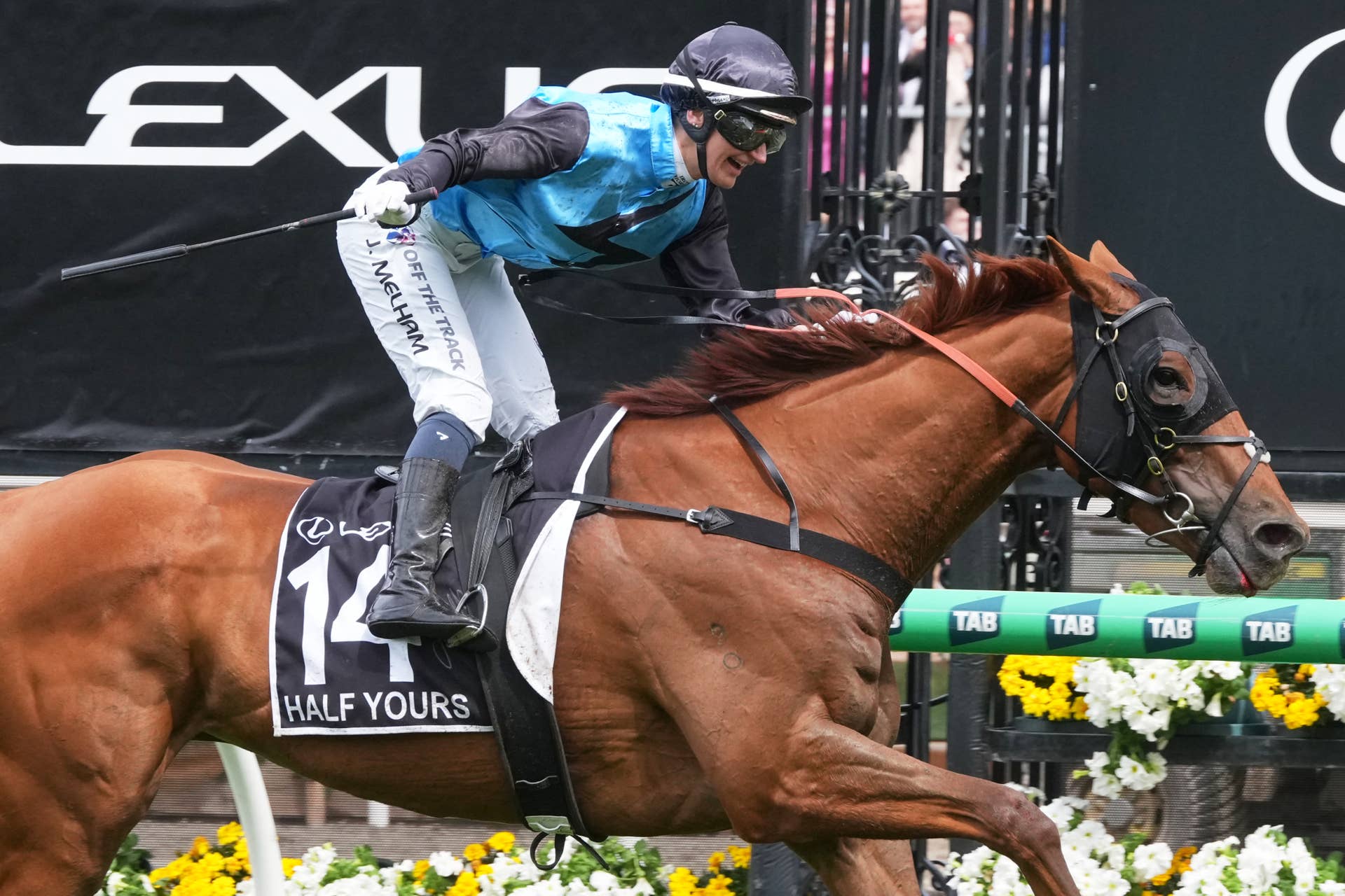 Jamie Melham Becomes Second Female Jockey To Win Melbourne Cup On Half ...