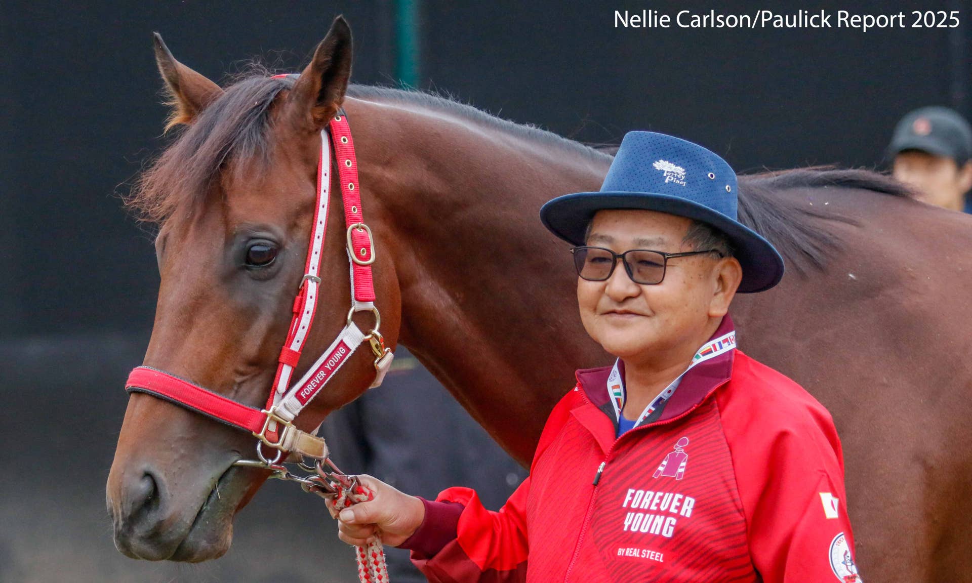 Breeders' Cup Title Defense Year-End Goal For Forever Young - Paulick ...