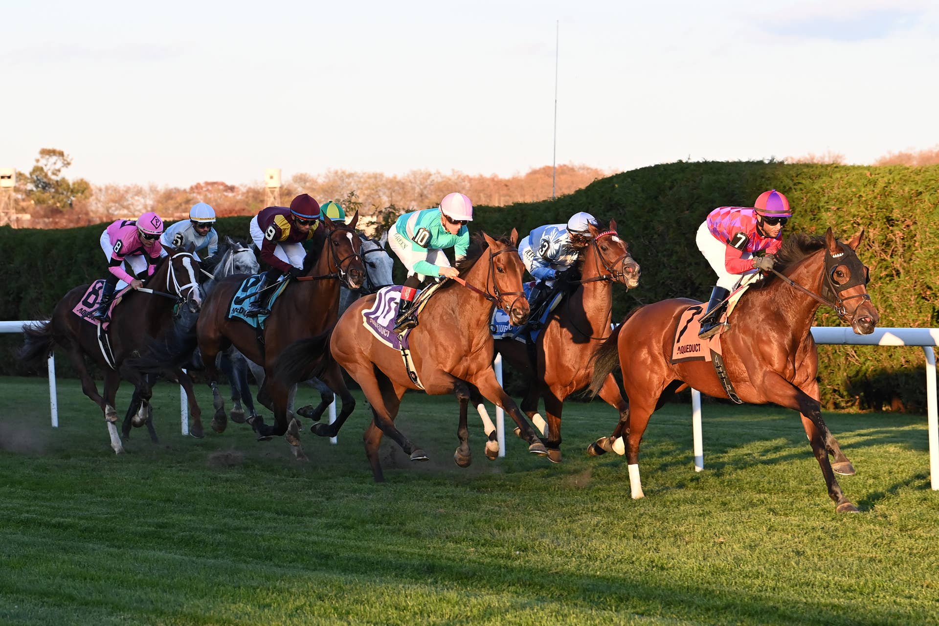 Alluring Angel Makes The Grade In Long Island - Paulick Report