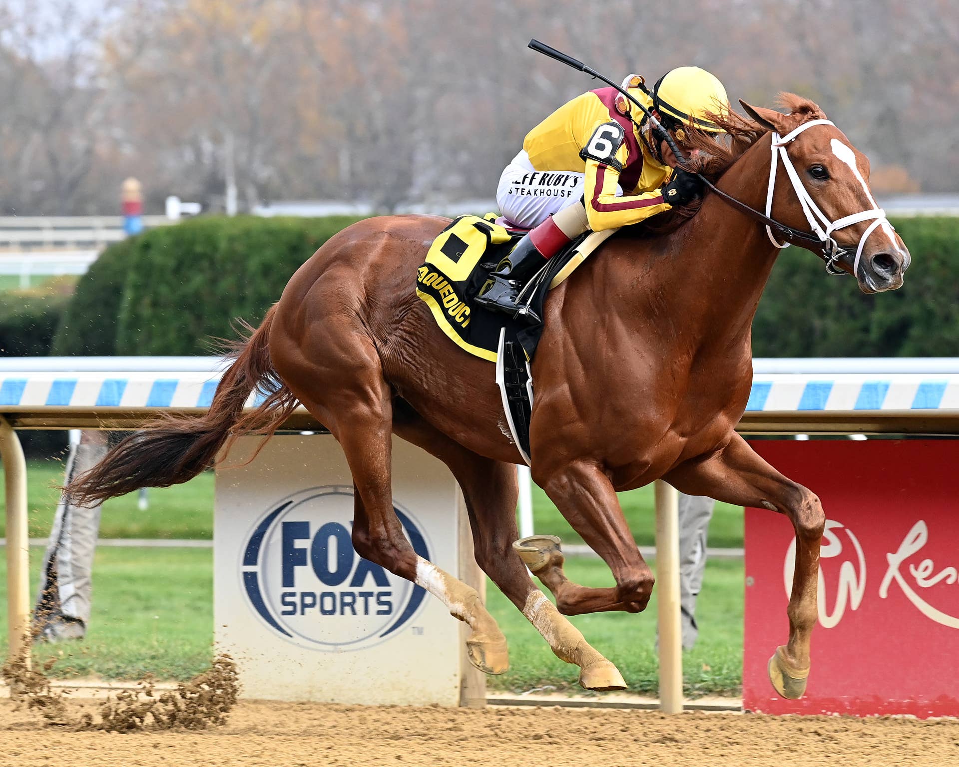 Weekend Lineup Presented By Laurel Park: Derby, Oaks Points On The Line ...