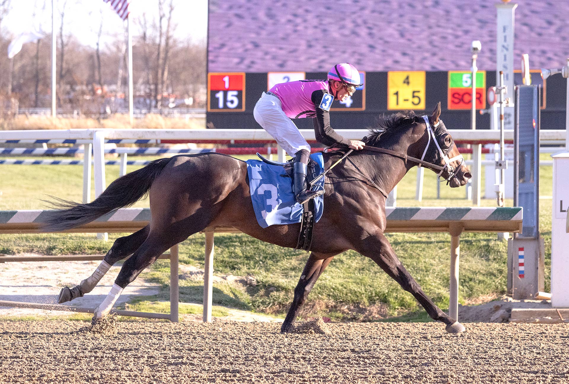 Cigar Mile Runner-Up Mika Looking For Breakthrough Stakes Victory In ...