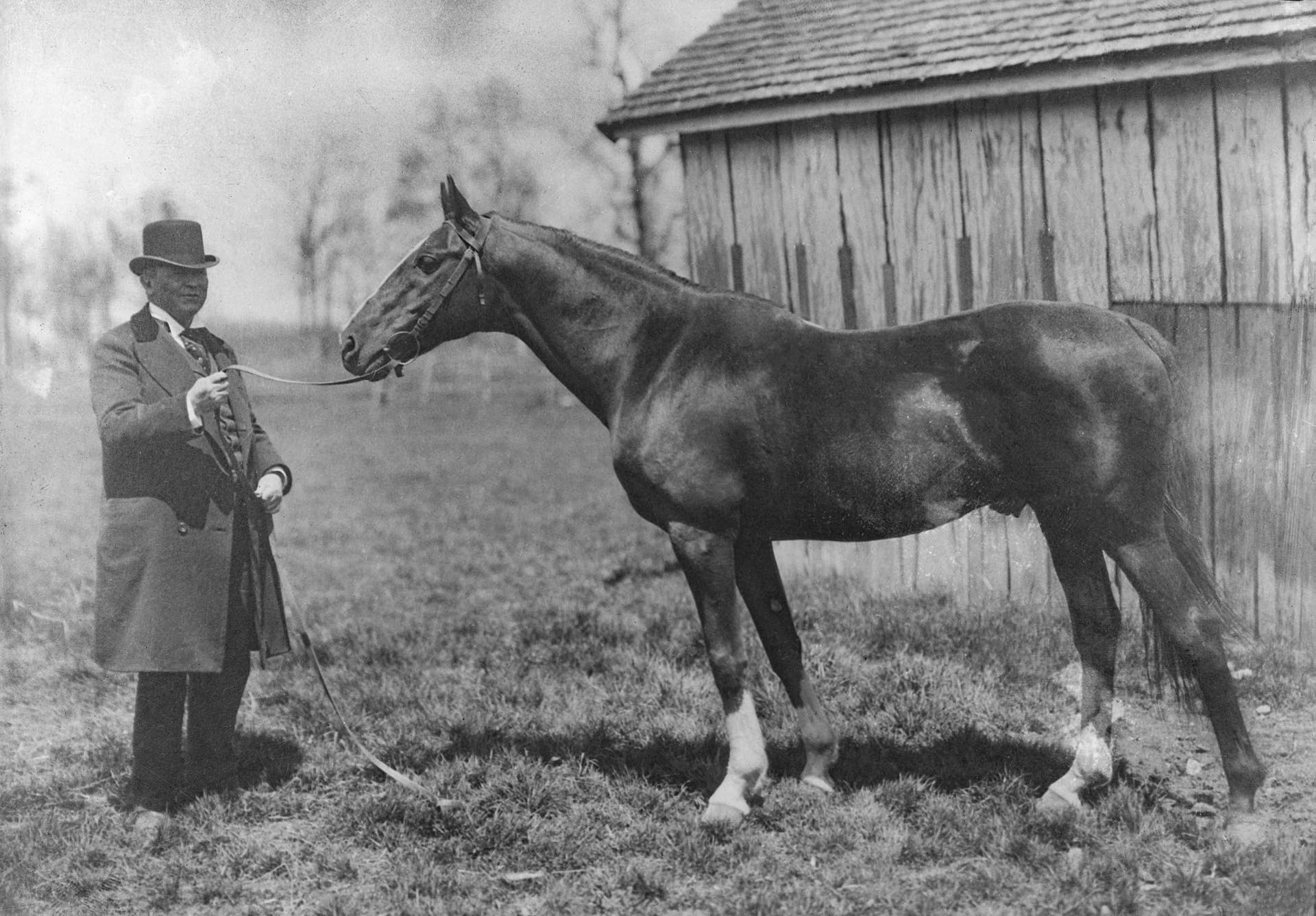 Lest We Forget: Before Secretariat, Hanover Was The Original ...