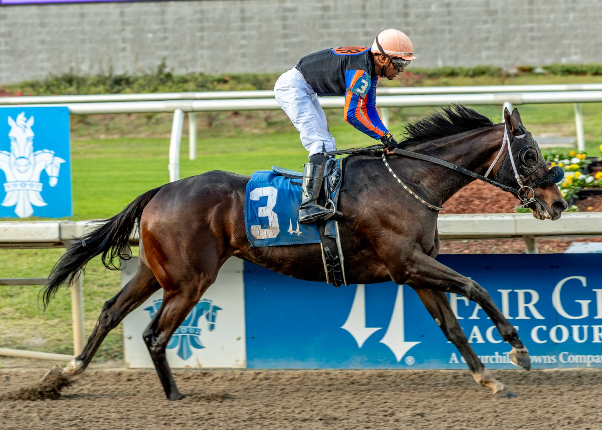 Keeneland's April All-Stars: Rising Inflation A Louisiana-Bred Score ...