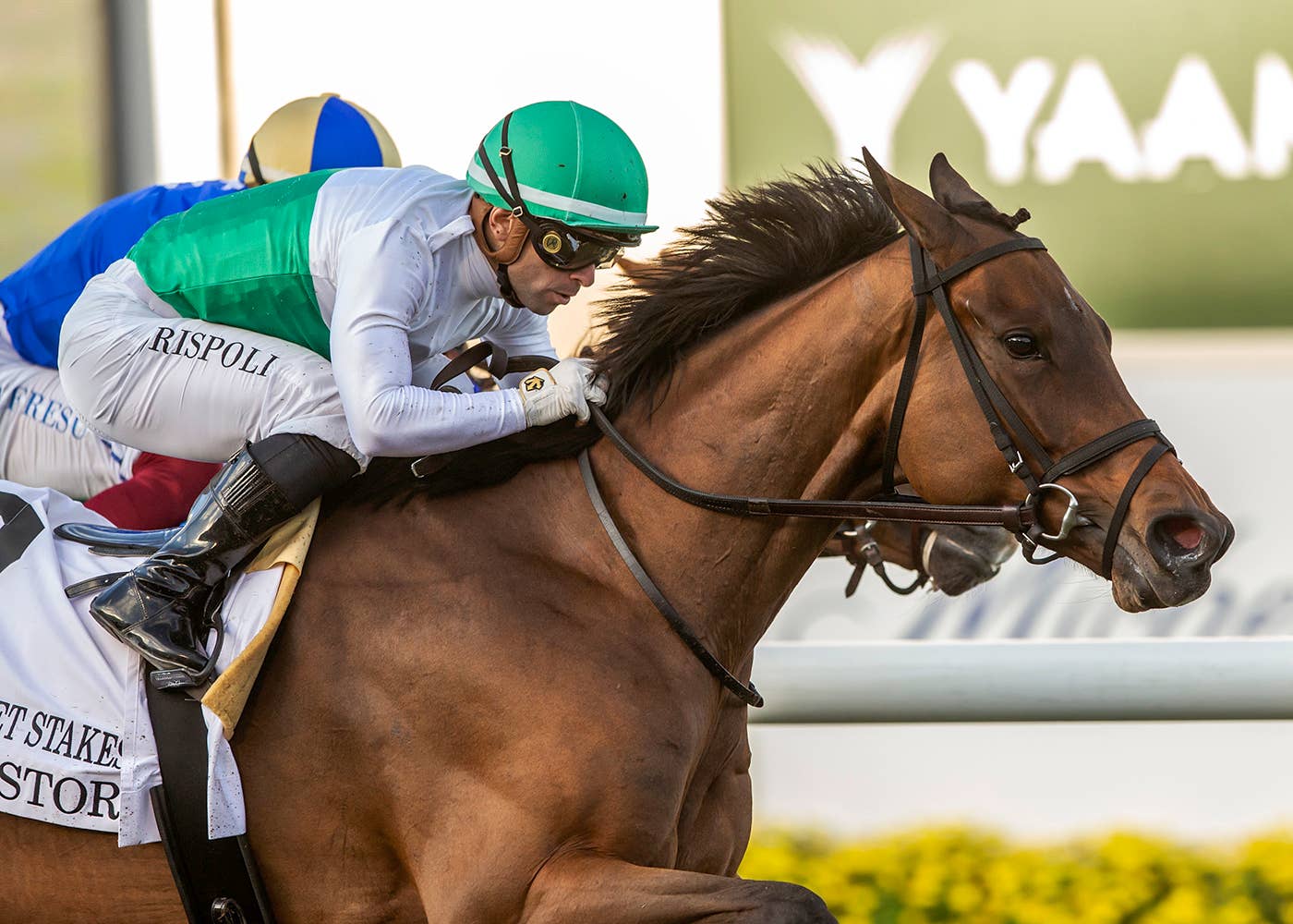 Mrs. Astor Scores Repeat Win In Red Carpet - Paulick Report