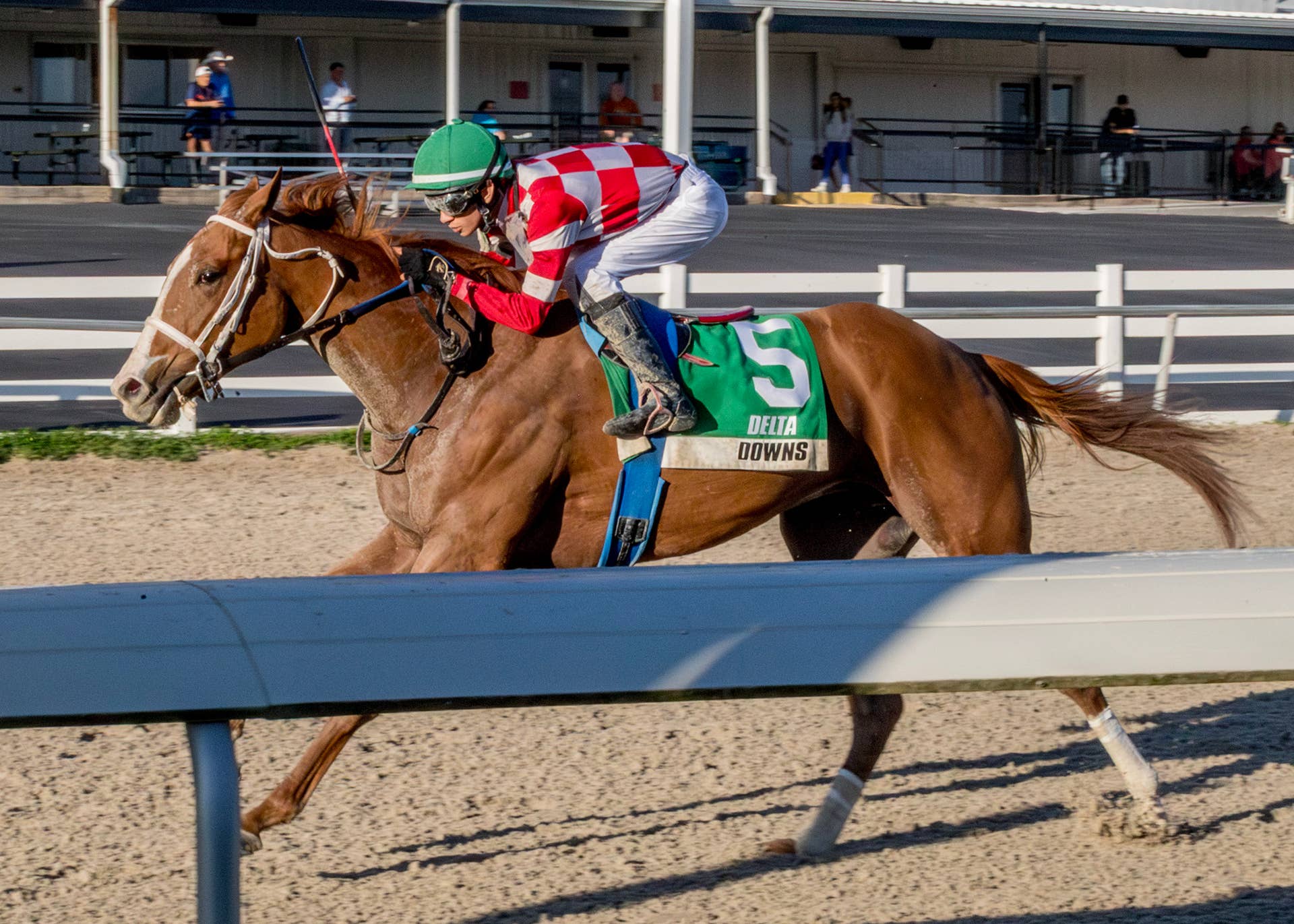 Tom Amoss-Trained Actis Romps On Stakes Debut In My Trusty Cat ...