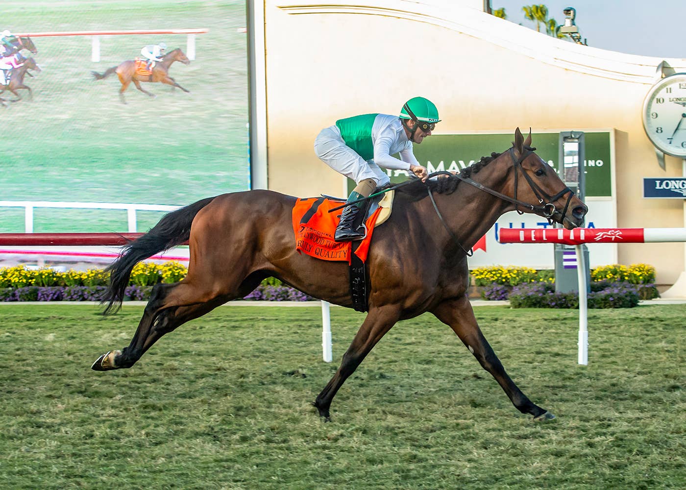 'He Wanted To Win The Race': Truly Quality Scores Hollywood Turf Cup ...