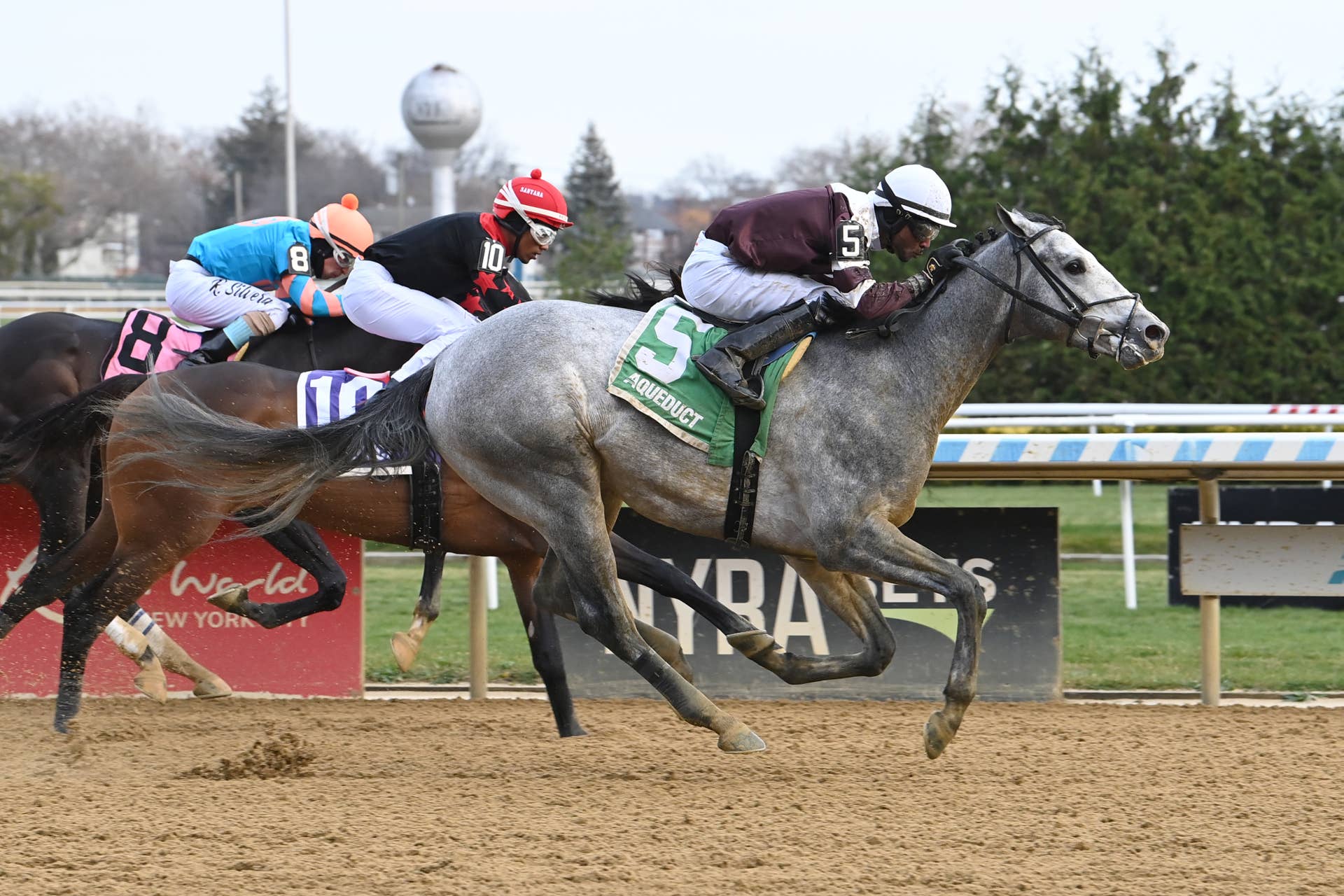 Fasig-Tipton December Digital Sale Posts $10.6 Million In Gross Sales ...